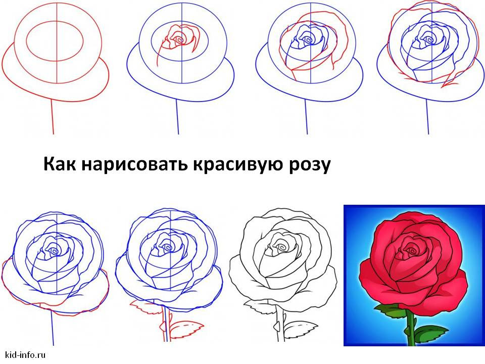 Пошаговое рисование розы Как нарисовать розу за 10 простых шагов